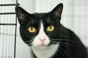 Photographer Spotlight: Casey Christopher, Part II